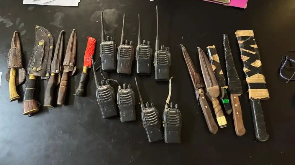 Caza furtiva en Chascomús: secuestran armas, 24 galgos y cuerpos de ...