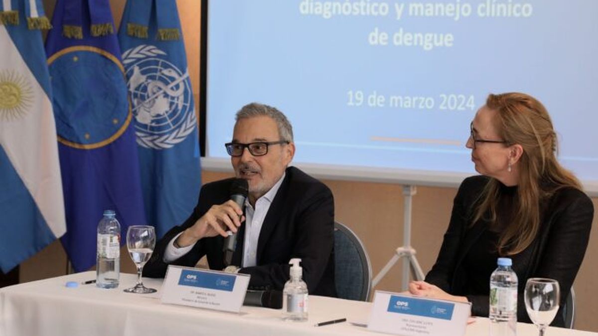 El Gobierno culpó a la gestión anterior del actual brote de dengue